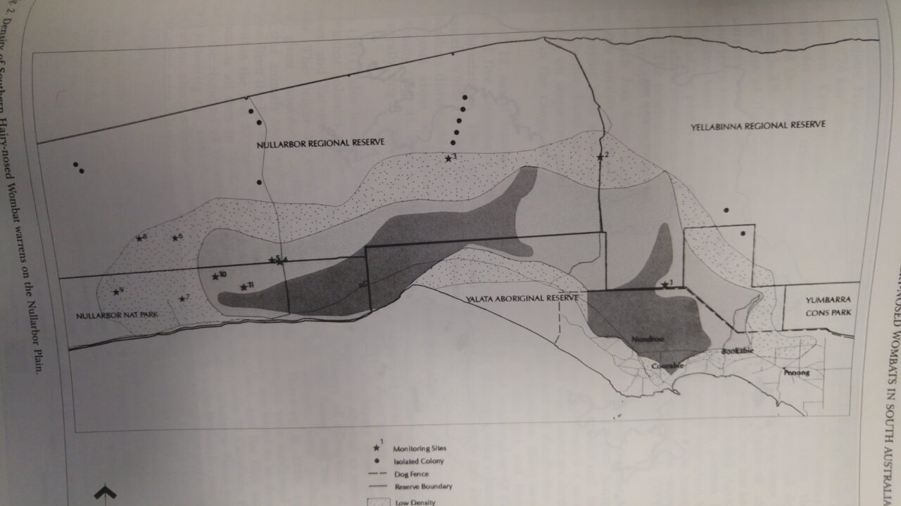 Australian Wombat Distribution with maps and detailed explanation ...