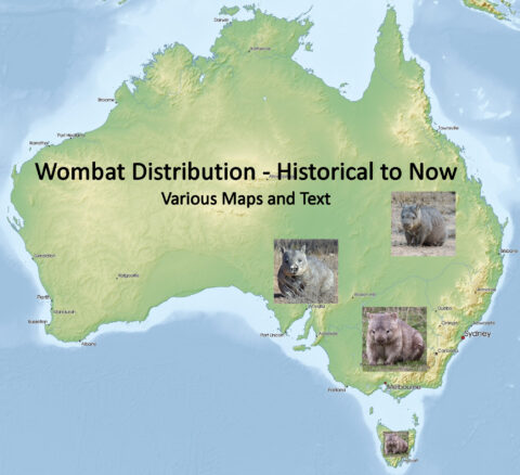 Australian Wombat Distribution with maps and detailed explanation ...