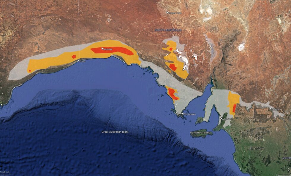 Australian Wombat Distribution with maps and detailed explanation ...