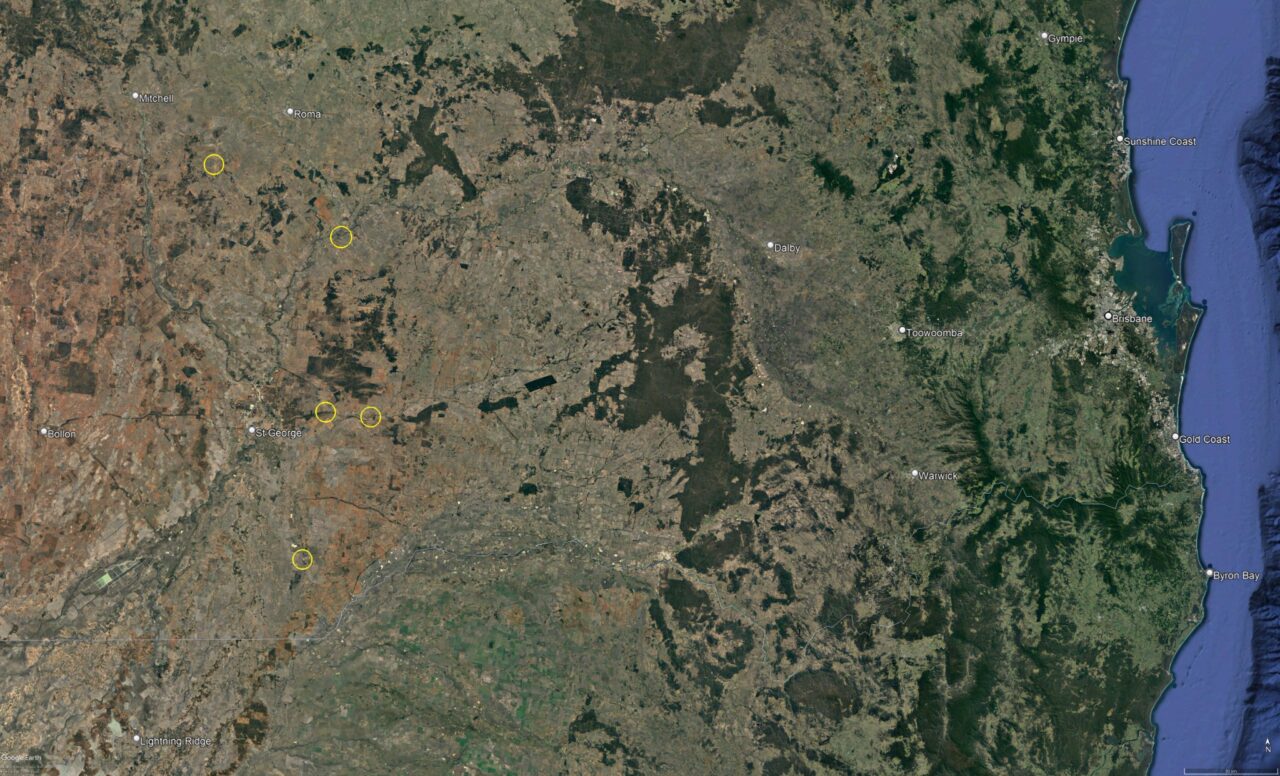 Australian Wombat Distribution with maps and detailed explanation ...