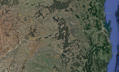 Australian Wombat Distribution with maps and detailed explanation ...