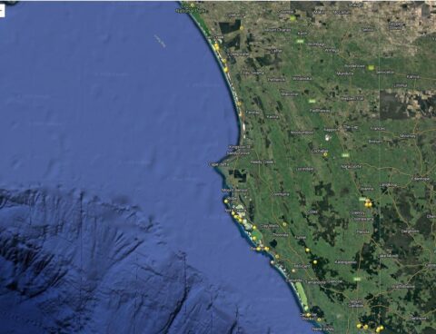 Australian Wombat Distribution with maps and detailed explanation ...