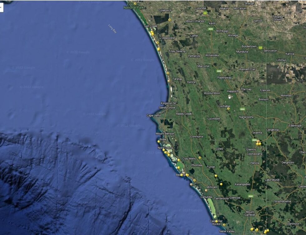 Australian Wombat Distribution with maps and detailed explanation ...